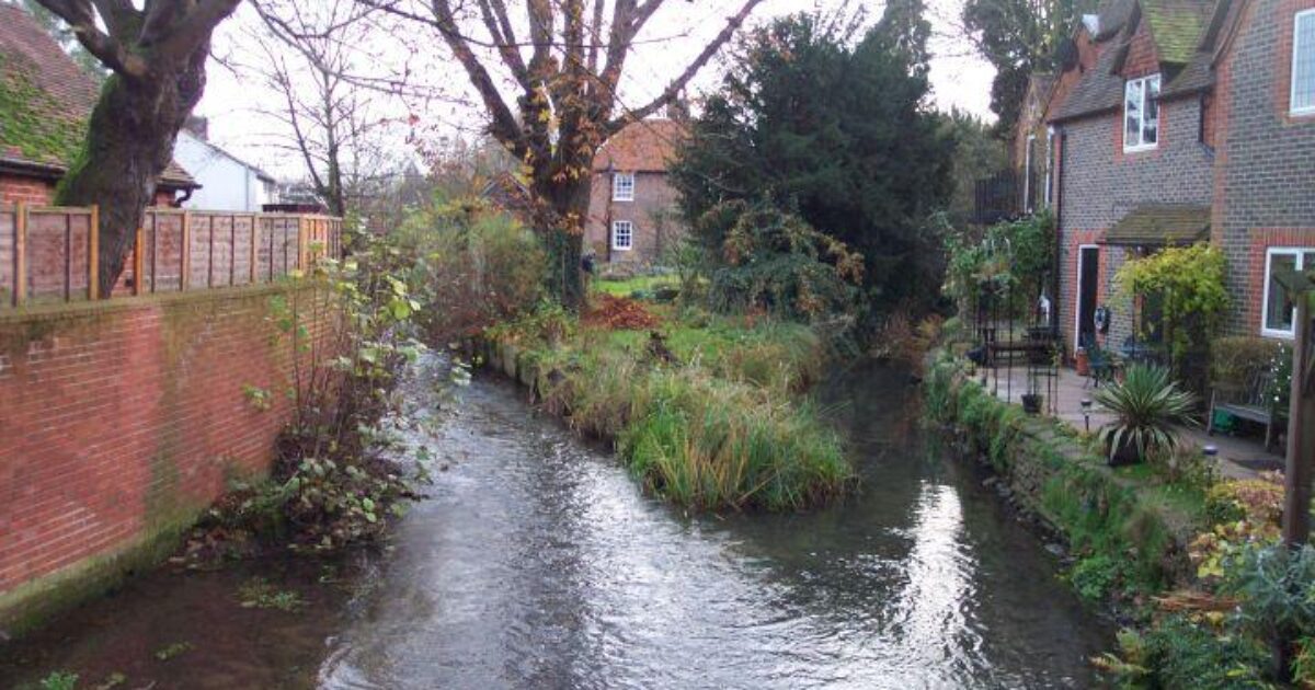 Constituency Newsletter 17 January 2025 - Olivia Bailey